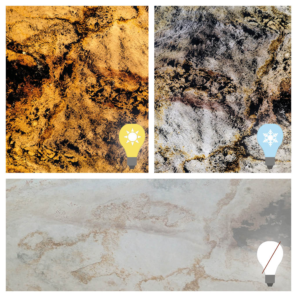 Translucent Bianco Slate Sheet – Lite Stone