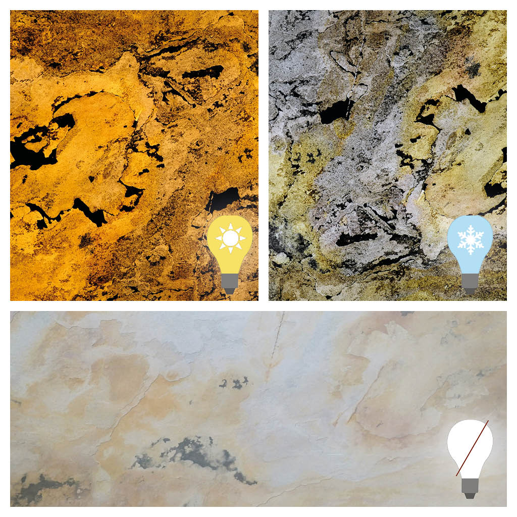 Translucent Falling Leaves Slate Sheet – Lite Stone